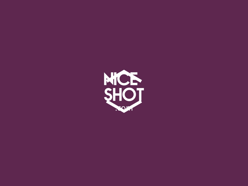 Nice Shot logo | Design your own sports fitness logo - LogoAI