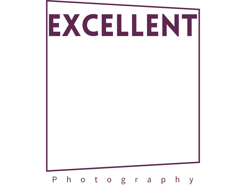 Excellent logo design - LogoAi.com