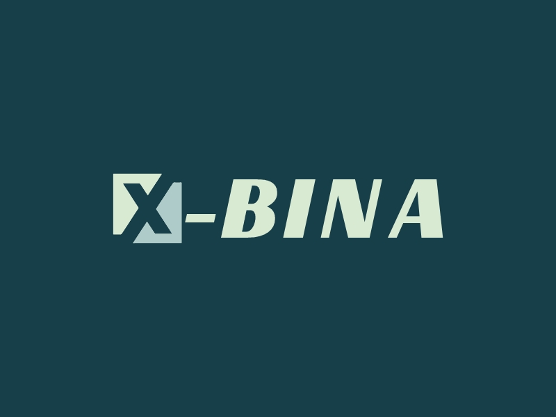 X-BINA logo | Design your own construction logo - LogoAI