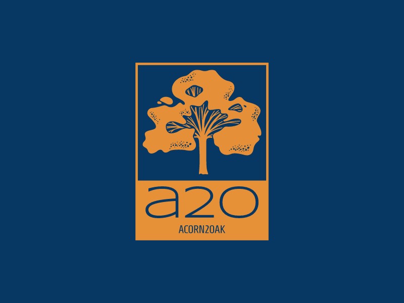 A2o logo | Design your own logo - LogoAI