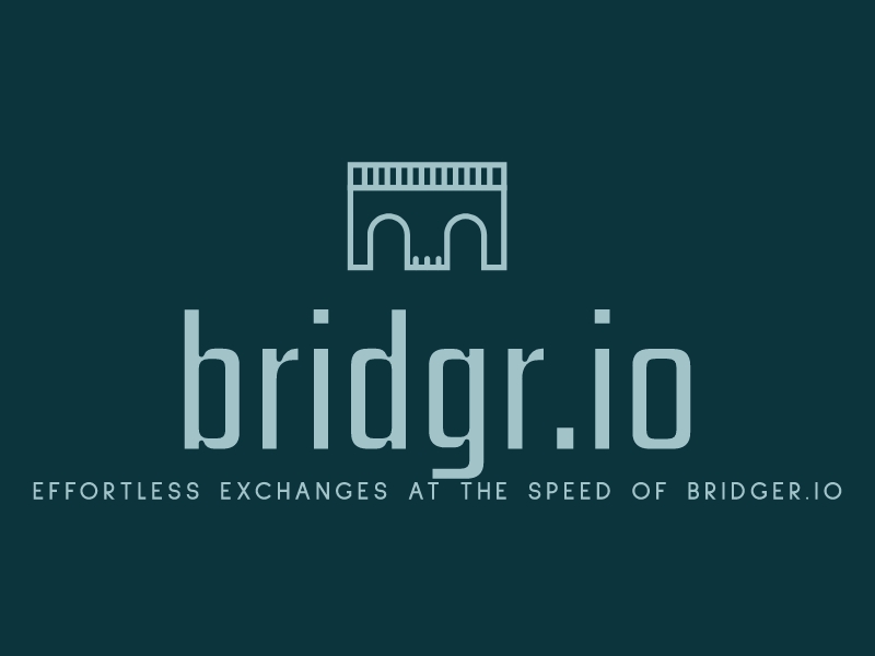 Bridgr.io logo | Design your own beauty spa logo - LogoAI