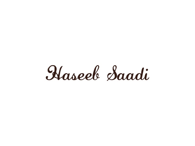 Haseeb Saadi logo | Design your own logo - LogoAI