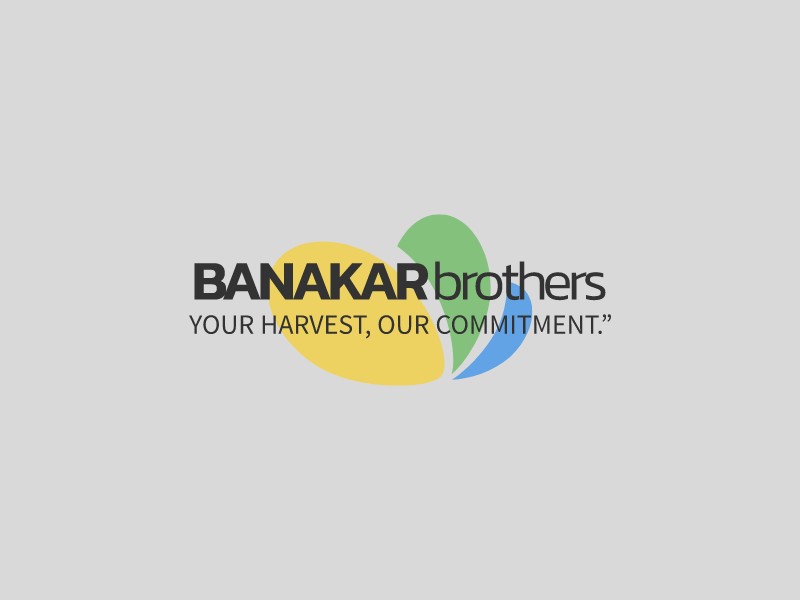 BANAKAR brothers logo | Design your own travel logo - LogoAI