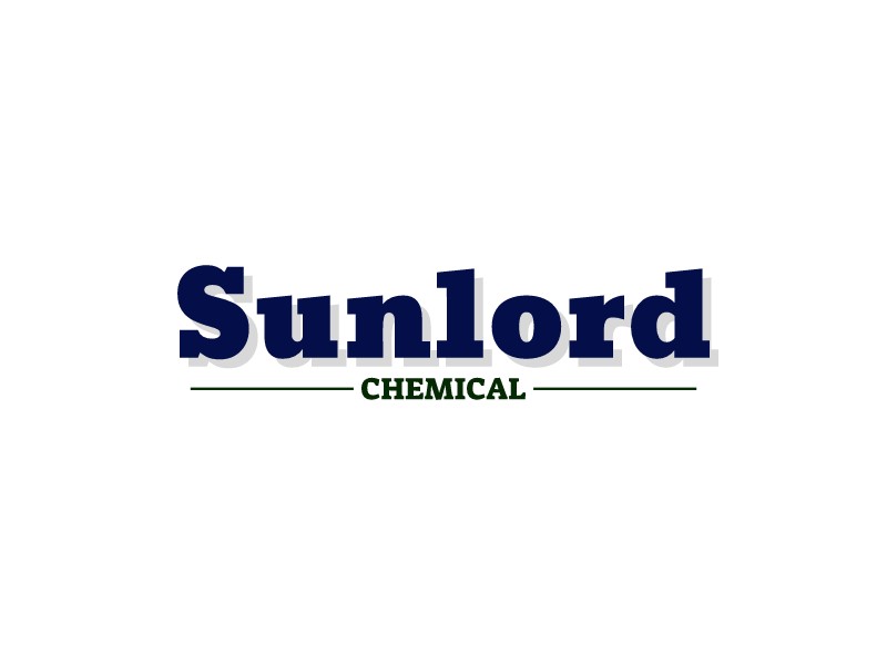 Sunlord logo | Design your own travel logo - LogoAI