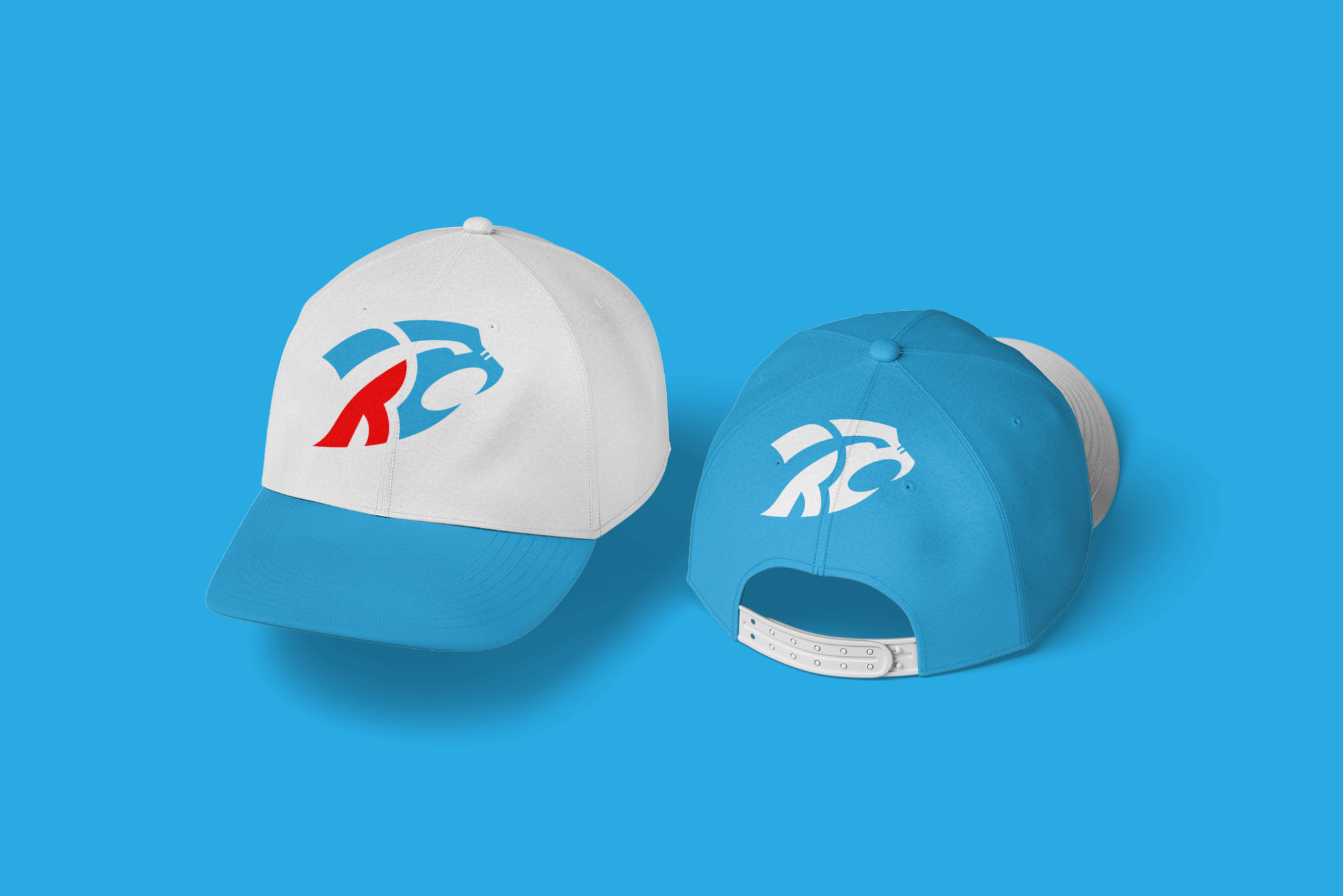 Two-color hat baseball cap vi logo mockup renderings (1768727491 ...